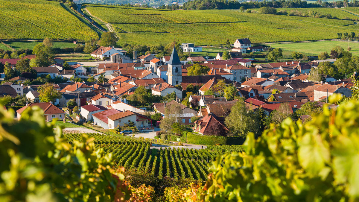 How to Set Up a Memorable Tasting Experience in Champagne – Last Bubbles