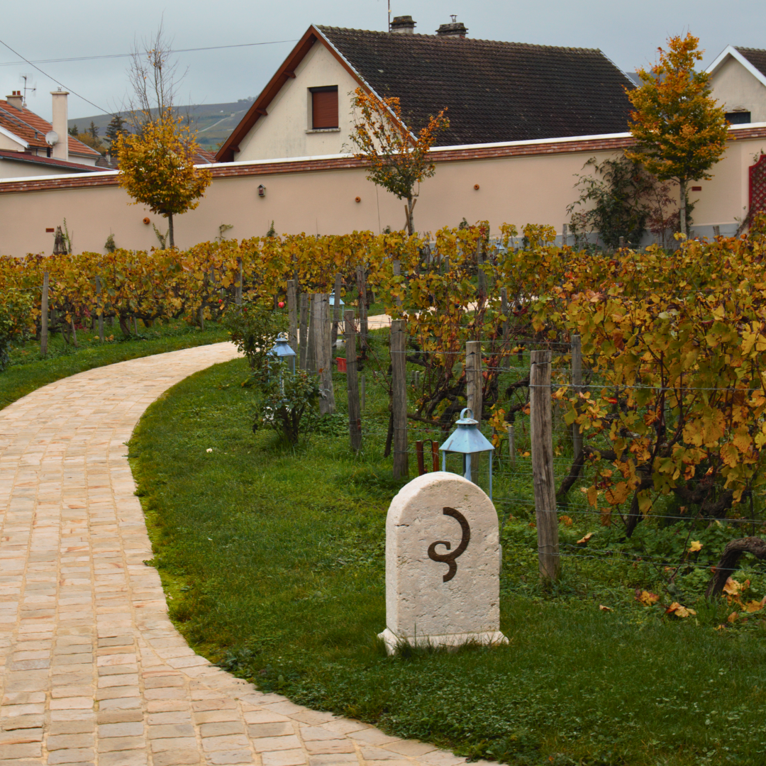 Last Bubbles | The First & Only 100% Sparkling Daily Wine Deal