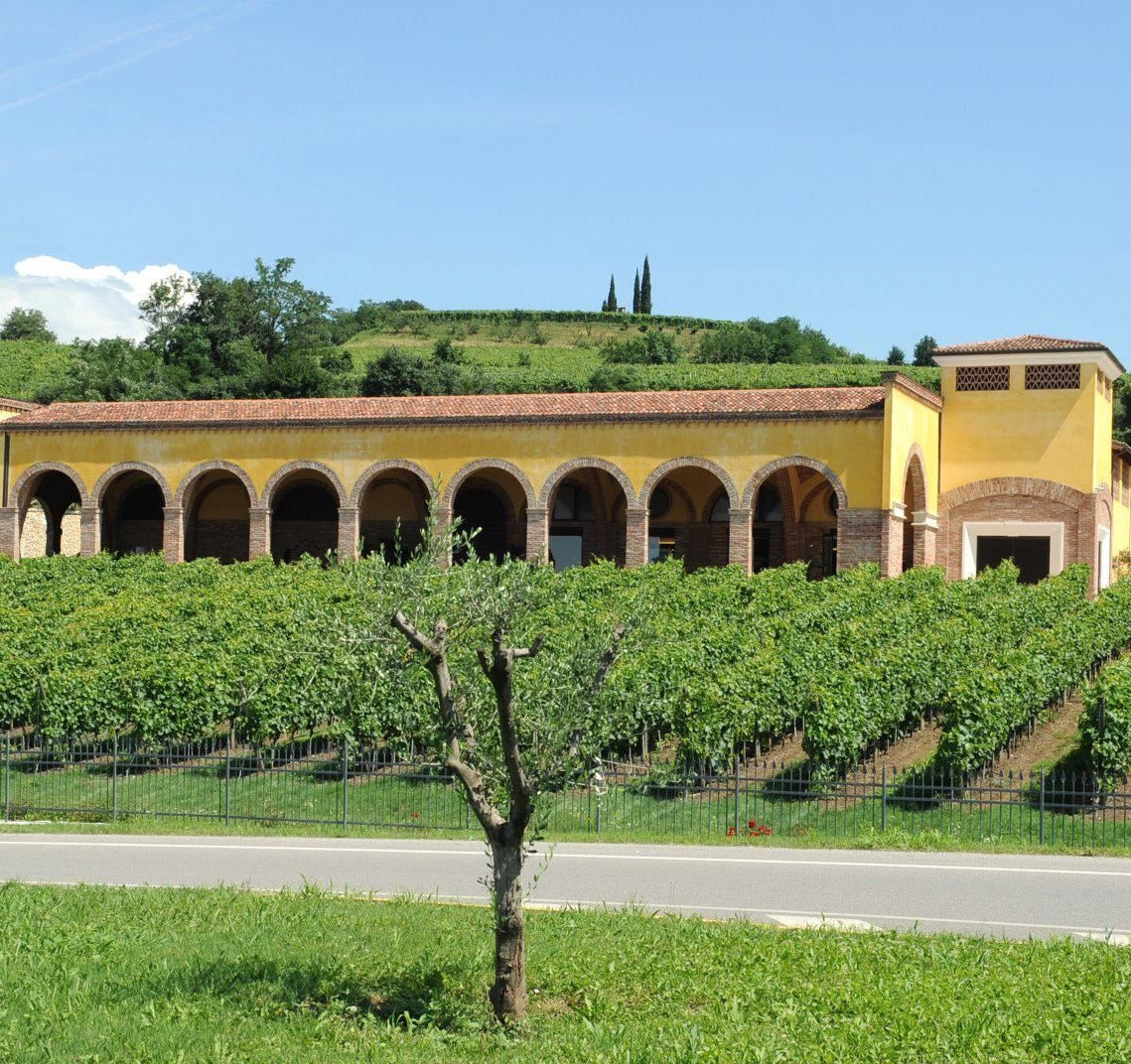 Last Bubbles | The First & Only 100% Sparkling Daily Wine Deal