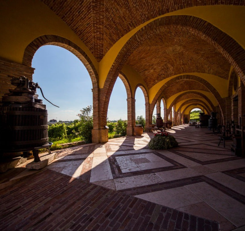 Last Bubbles | The First & Only 100% Sparkling Daily Wine Deal