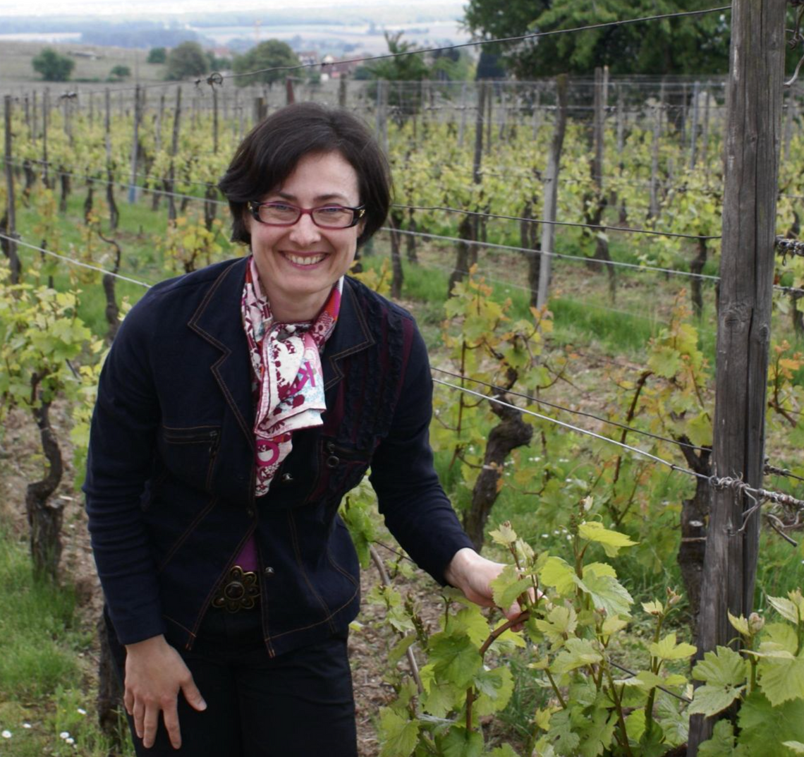 Last Bubbles | The First & Only 100% Sparkling Daily Wine Deal